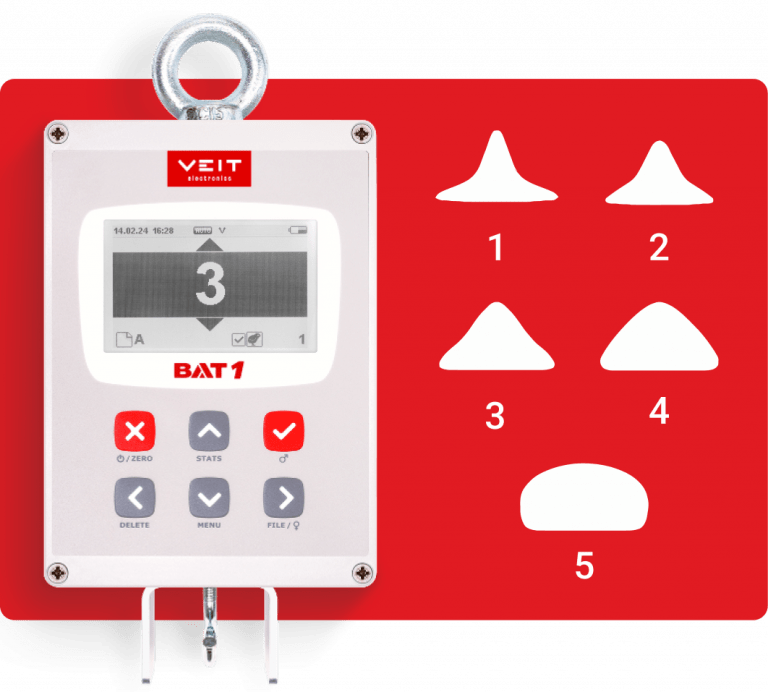 Fleshing Score: What It Is, Why It Matters & How To Work With It ...