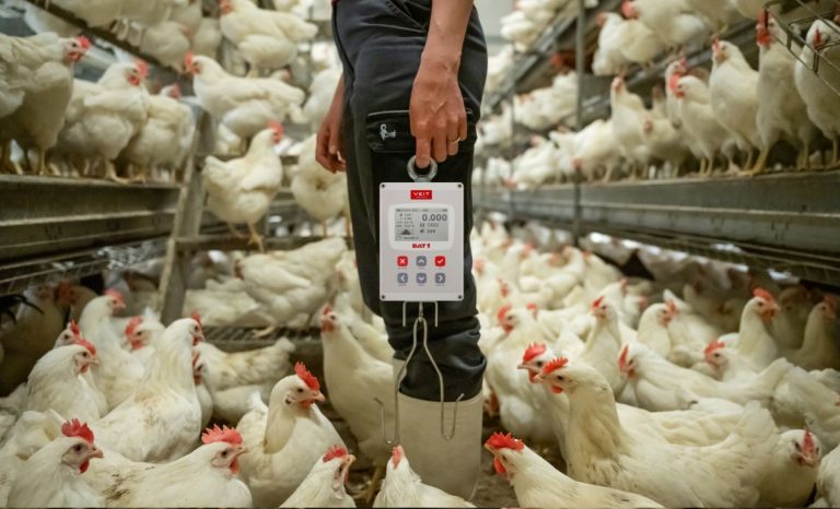 New BAT2 Connect brings accurate weight data to any management system ...