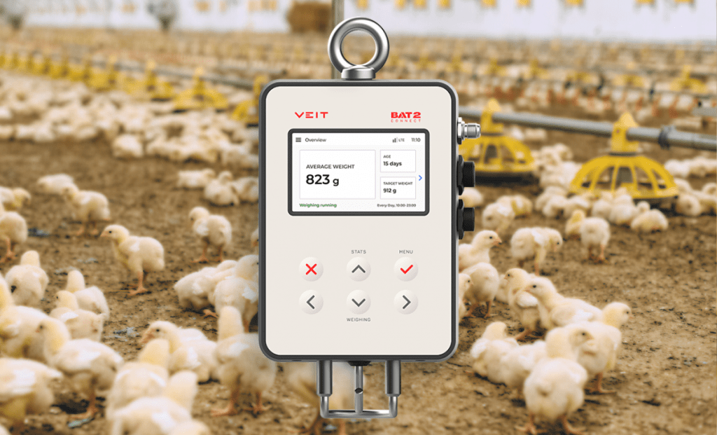 Your Must-Have Guide to Different Poultry Housing Systems - Poultryscales