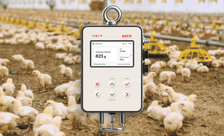 Your Must-Have Guide to Different Poultry Housing Systems - Poultryscales